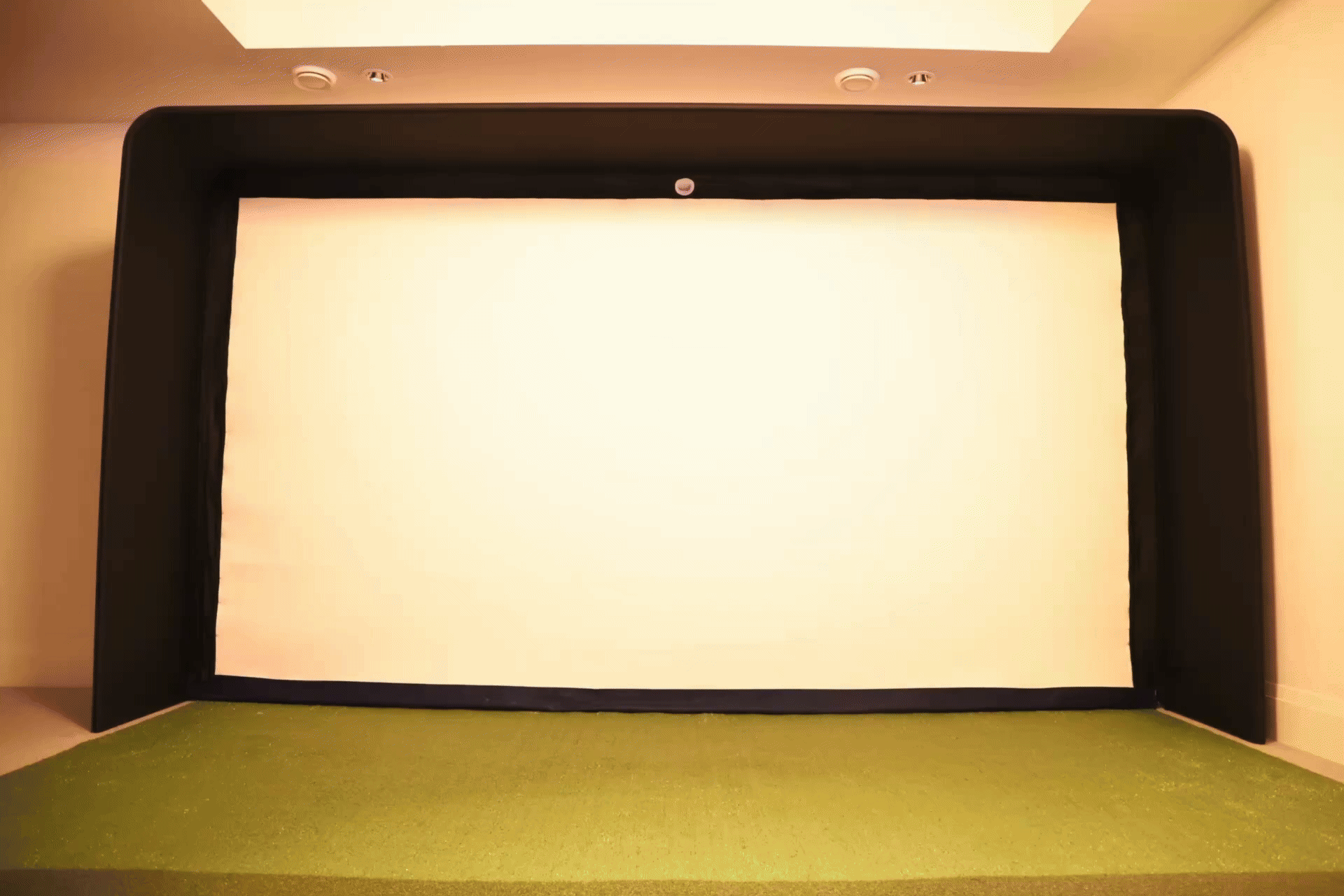 Simplex Simulator Enclosure and Screen